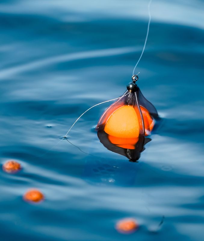 Korum Surface Feeder Float - Matchman Supplies